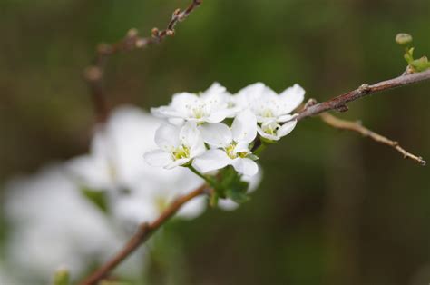 Läsvärd Eller Inte Det Nionde Brevet Av Catrin Ormestad