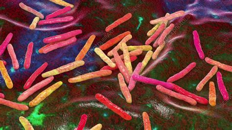 Mycobacteria Animation Stock Video Clip K009 6508 Science Photo
