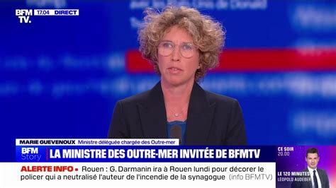 Une Tristesse Infinie Marie Guévenoux Ministre Déléguée Chargée Des