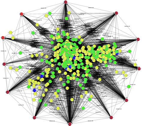 Hub Genes And Subnetwork Of The Up And Down Regulated Genes In Maize Download Scientific