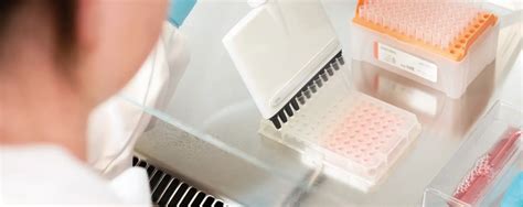 In Vitro Adme Assays Service