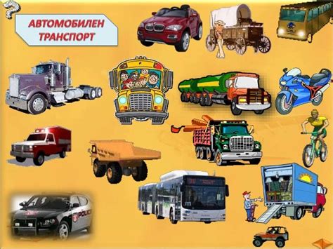 19 Транспортни средства ОС Анубис В П