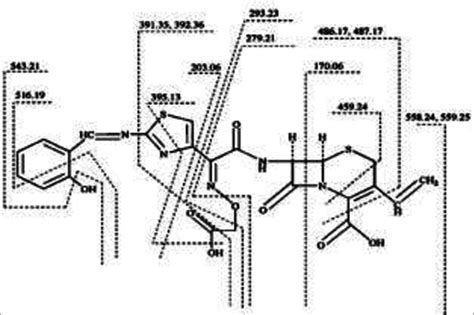 Esi Ms Fragmentation Pattern Of Salcefixi Schiff Base Ligand Ft Ir Download Scientific Diagram