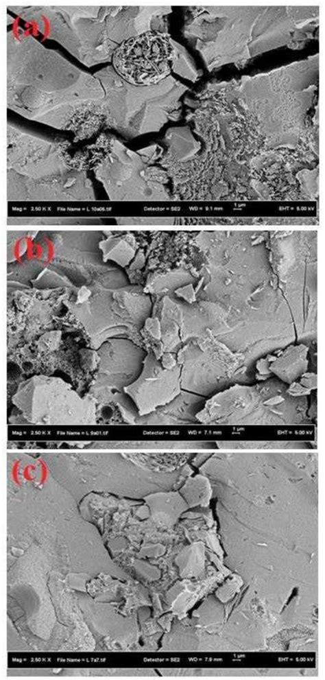 Effect Of Naoh Molarity On Microstructure Of Gpms A 2m B