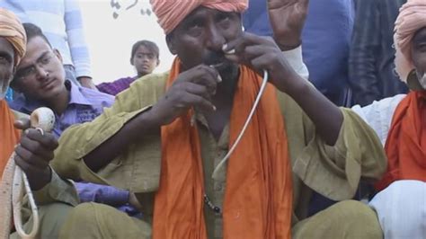 Ce Reuseste Sa Faca Un Barbat Din Pakistan Cu Un Sarpe Veninos Fara Sa