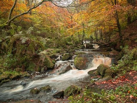 65 Fun And Interesting Facts About Sheffield 2023 Data Fun World Facts
