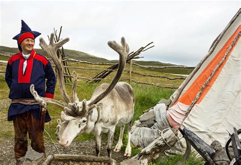 Reindeer Sledding And Lavvu Experience Kimkim