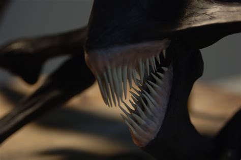 Pitch Black Alien Teeth By Firebli9ht On Deviantart Alien Alien