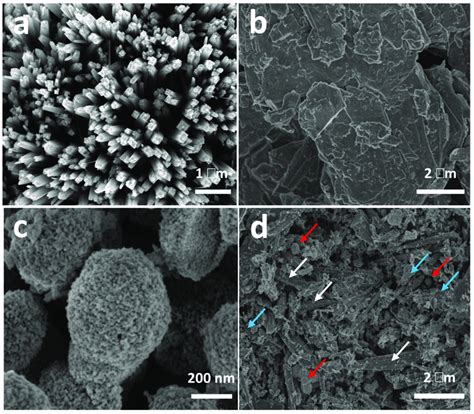 Hr Sem Micrographs Of Tio 2 Nws A Mos 2 Nanosheets B Ceo 2 Nps