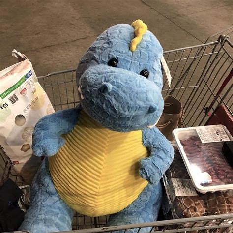 ‘심멎 비주얼로 품에 꼭 안고 놔주기 싫은 코스트코 2만원대 ‘대왕 공룡 인형 인사이트