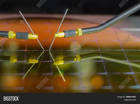 Checking Microchips On Image Photo Free Trial Bigstock