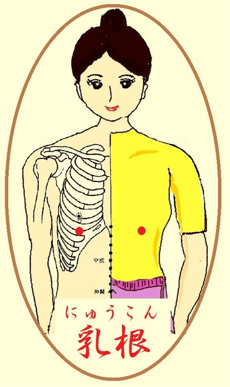 乳根にゅうこんというツボ ツボ