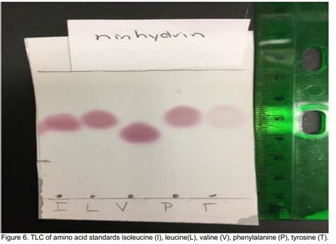 Solved Ninhydrin 3 4 5 6 Р P Figure 6 Tlc Of Amino Acid