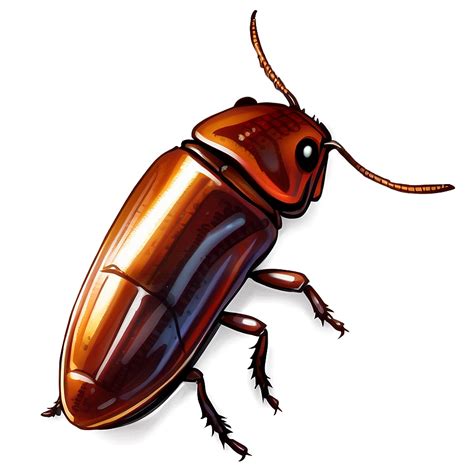 Roach Drawing Png Hmd Png Image