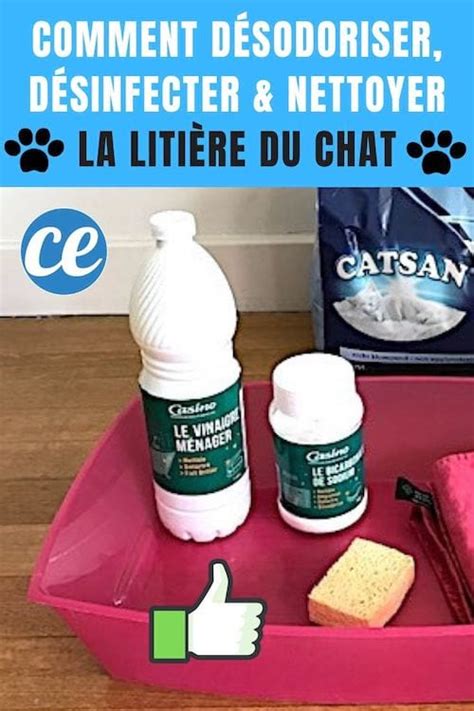 La Super Astuce Pour Désodoriser Désinfecter Et Nettoyer La Litière Du Chat
