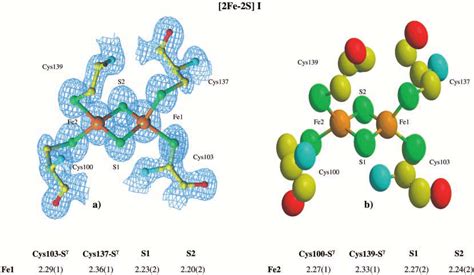 A B The Atomic Model Of The Proximal Fesi Cluster From The Download Scientific Diagram