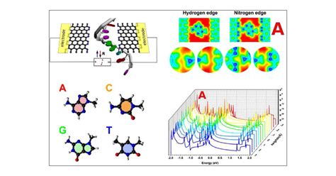 Boosting Dna Recognition Sensitivity Of Graphene Nanogaps Through Nitrogen Edge