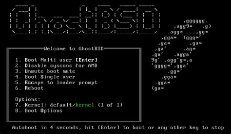 Starting GhostBSD Live Media GhostBSD Wiki