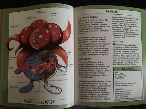 Pokémon Anatomy Rgaming