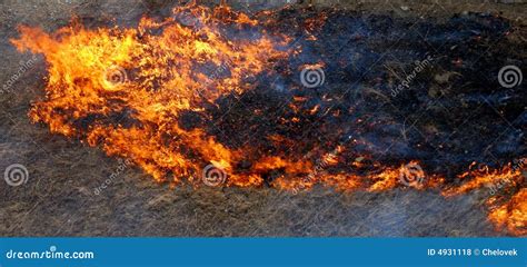 Burning Dry Grass And Reeds Cleaning The Fields And Ditches Of The