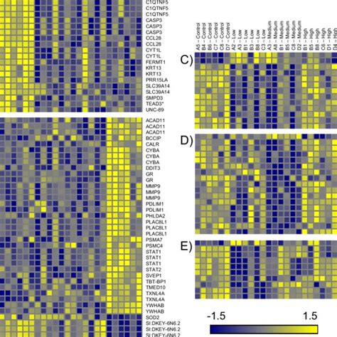 heat map showing the 96 microarray probes that were statistically