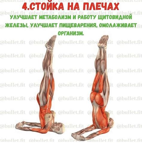Пин от пользователя Marina на доске Yoga Asana Упражнение для начинающих Упражнения