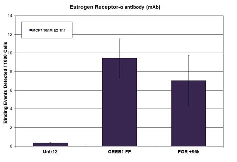 Estrogen Receptor Alpha Antibody MAb Clone F3 Proteintech