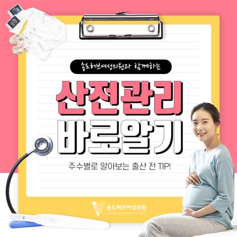 주수별로 알아보는 출산 전 Tip 0~14주 산전관리 네이버 블로그