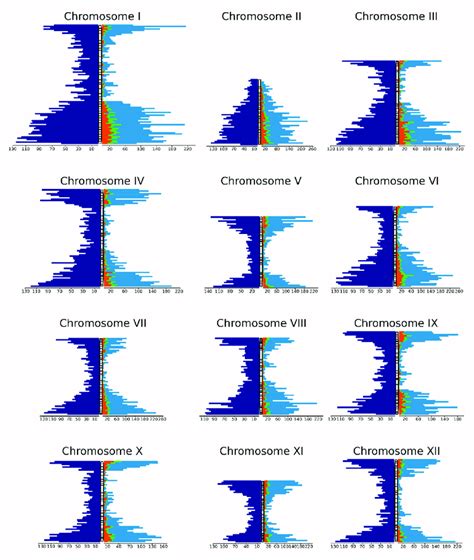 Density Of Genes And Snp Markers Per Chromosome Each Bar Indicates