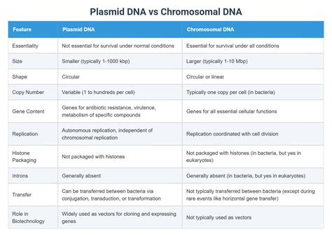 Plasmid Dna Vs Chromosomal Dna