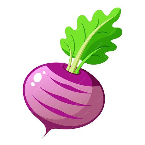 Premium Vector Turnip Clipart Cartoon Style Vector Illustration