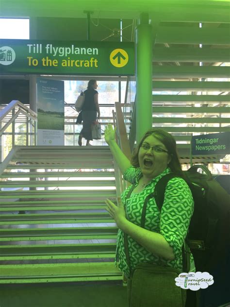 Your Flight Is Delayed Now What Turnipseed Travel