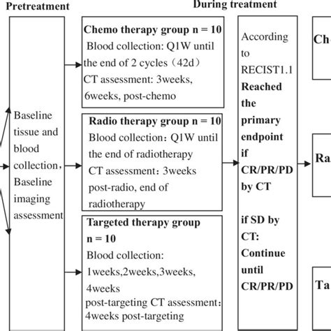 The First Phase Ct Computed Tomography Cr Complete Response Ecog