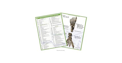 Podiatry Icd 10 Cm And Hcpcs Cheat Sheet For 2021 By Innovihealth