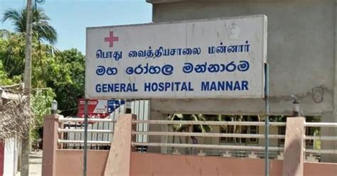 මන්නාරමේ ළමා රෝග ලොකු දොස්තර නැතිව දරුවන් අමාරුවේ Lankadeepa Online