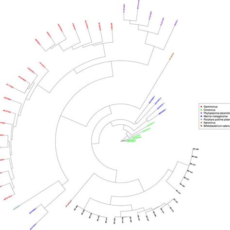 maximum likelihood phylogenetic tree phyml v3 0 download