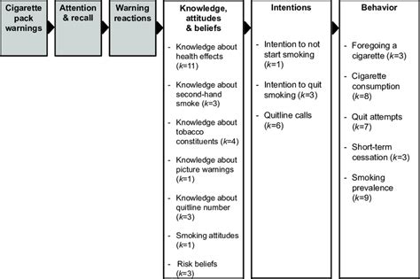 Message Impact Framework Showing Outcomes Assessed In The Set Of