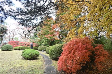 モミジやツツジ色付く 南部氏庭園が開園 7日まで 47NEWSよんななニュース47都道府県52参加新聞社と共同通信のニュース情報速報