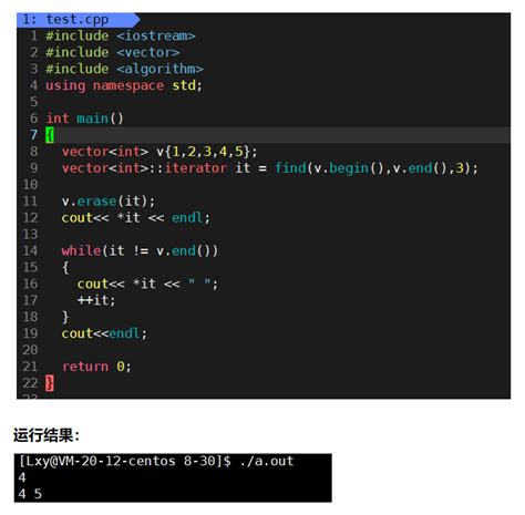 C Stl Vector Vector Csdn