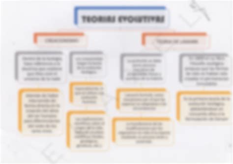Solution Mapas Conceptuales Evolución Studypool