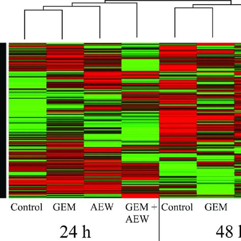 Classification Of Protein Expression By Clusters Heatmap And