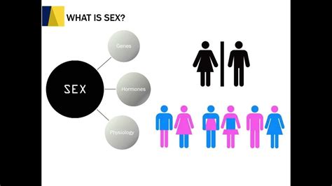 On The Study Of Sex As A Biological Variable Adriene Beltz Youtube