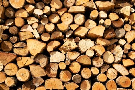Documentation Photographique Dun Grand Tas De Bois De Chauffage En