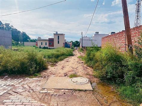 Plot Owners In 14k Illegal Colonies Of Punjab Can Build Houses Sans Noc