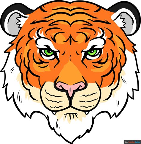 How To Draw A Tiger Face Very Easy At Colin Fleming Blog