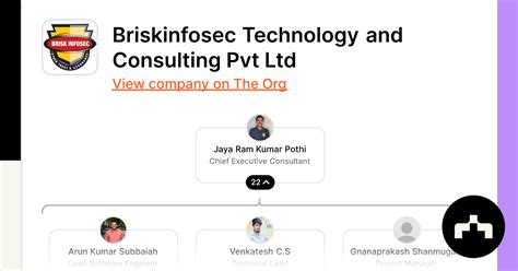 Briskinfosec Technology And Consulting Pvt Ltd Org Chart Teams