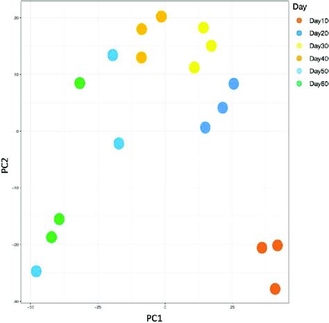 Principal Component Analysis Pca Plot Of Transcriptomic Data From Download Scientific Diagram