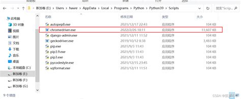Selenium自动化测试的配置（python版）宝塔配置seleium Csdn博客