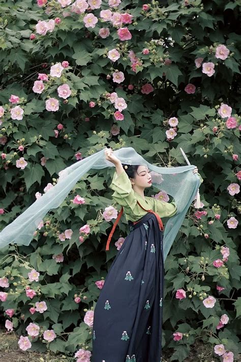 唐复原芙蓉花开尽知秋 花瓣网