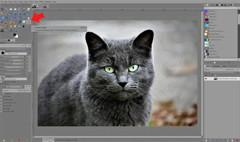 How To Make Background Transparent In GIMP Tech Lounge